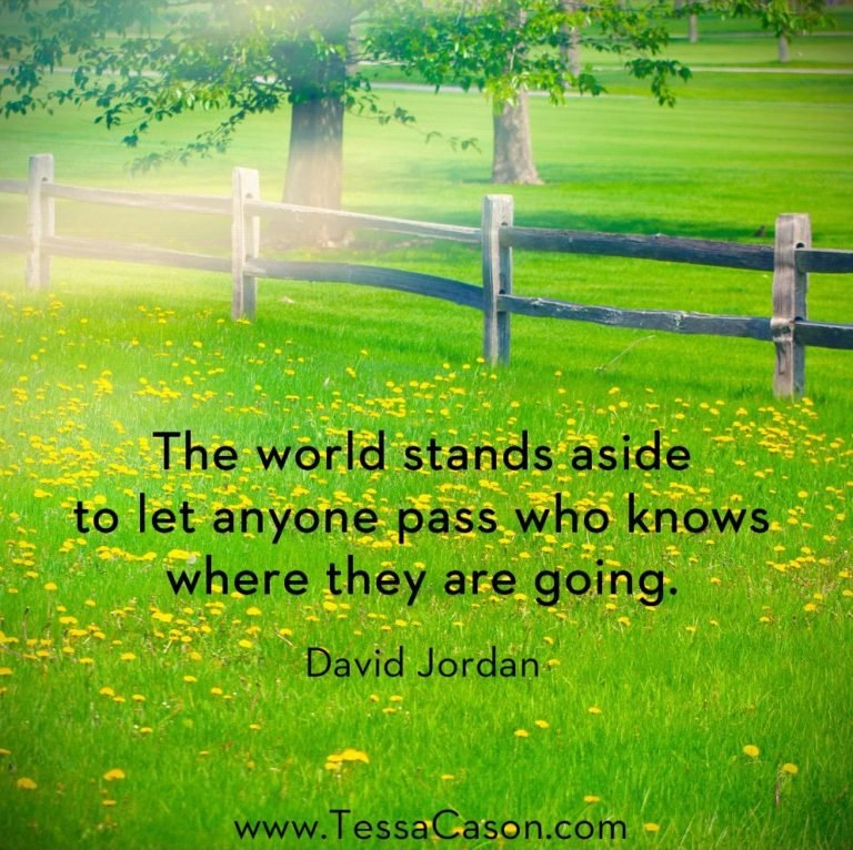 The World Stands Aside... | Tessa Cason